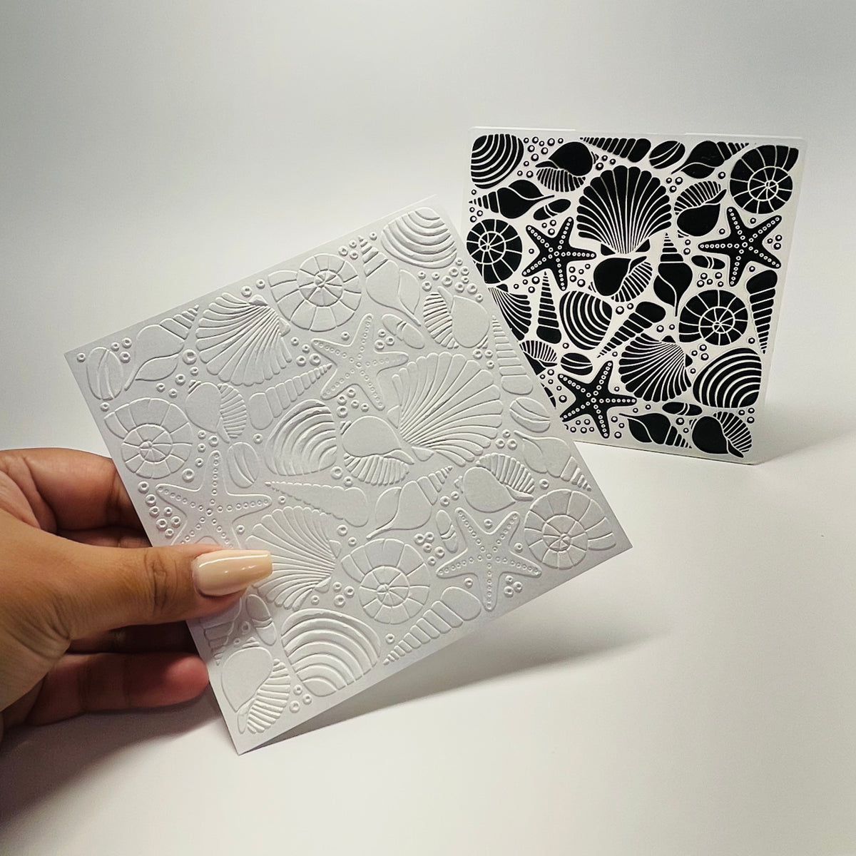 Beach Shells Embossing Folder – Creations By Gabby