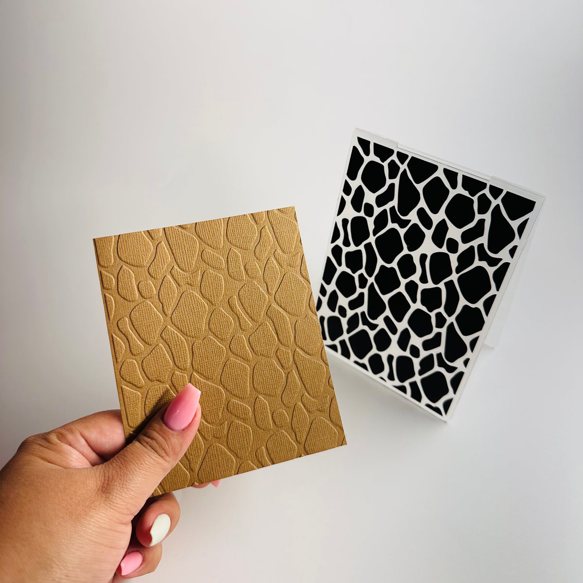 Safari Animals Embossing Folder – Creations By Gabby